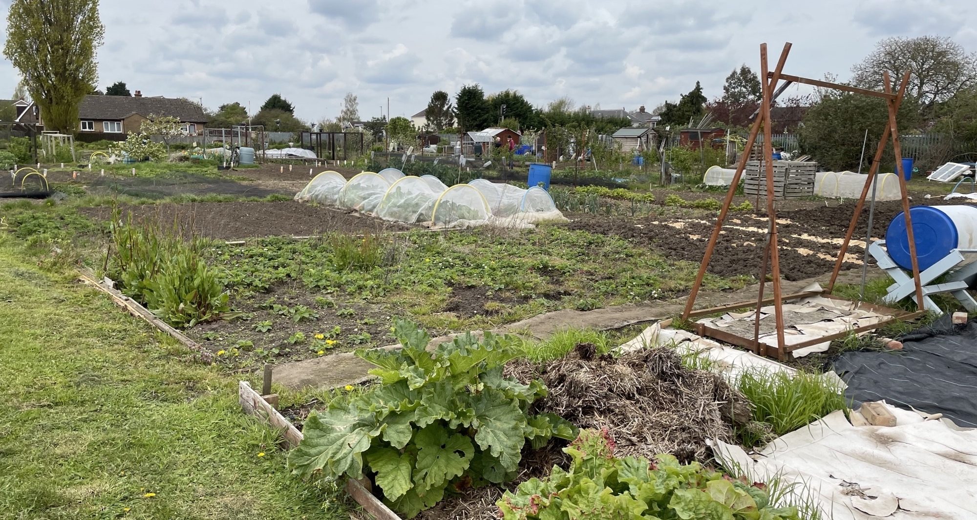 Allotments | March Town Council
